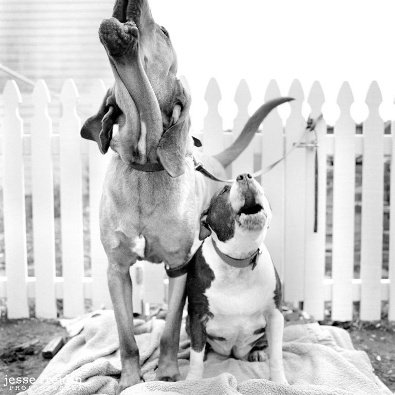 Check out Jesse Freidin’s Artwork – Boston Voyager Magazine | Boston ...