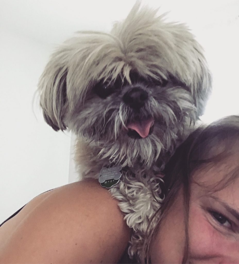 Meet Nikki Nutter of Nutter Puppies in Charlestown – Boston Voyager ...