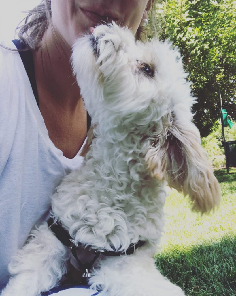 Meet Nikki Nutter of Nutter Puppies in Charlestown – Boston Voyager ...