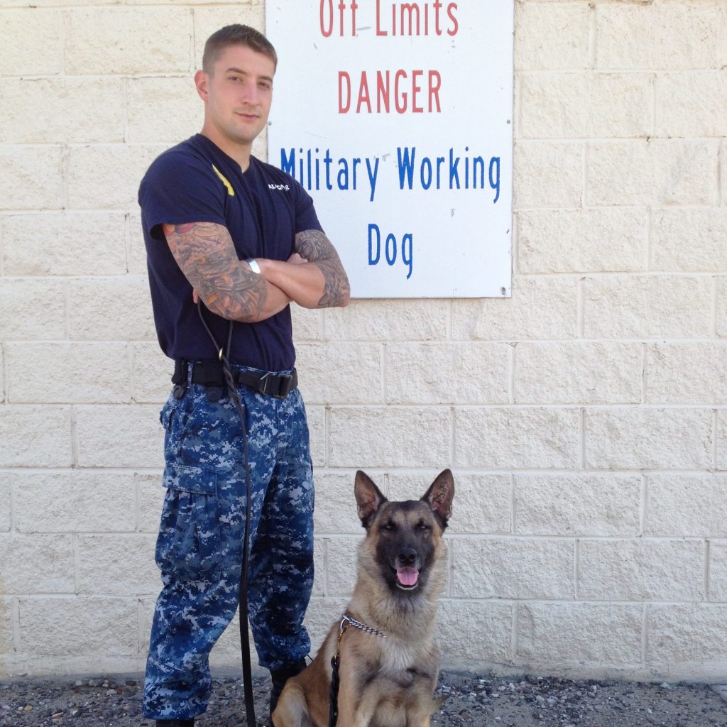 Meet Tyler Falconer of Falco K9 – Boston Voyager Magazine | Boston City ...