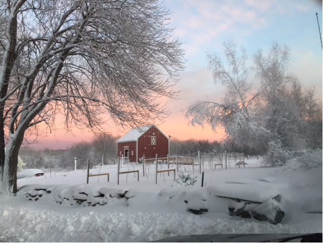 Meet Eric Preusse of Broken Creek Vineyard in Shrewsbury – Boston ...