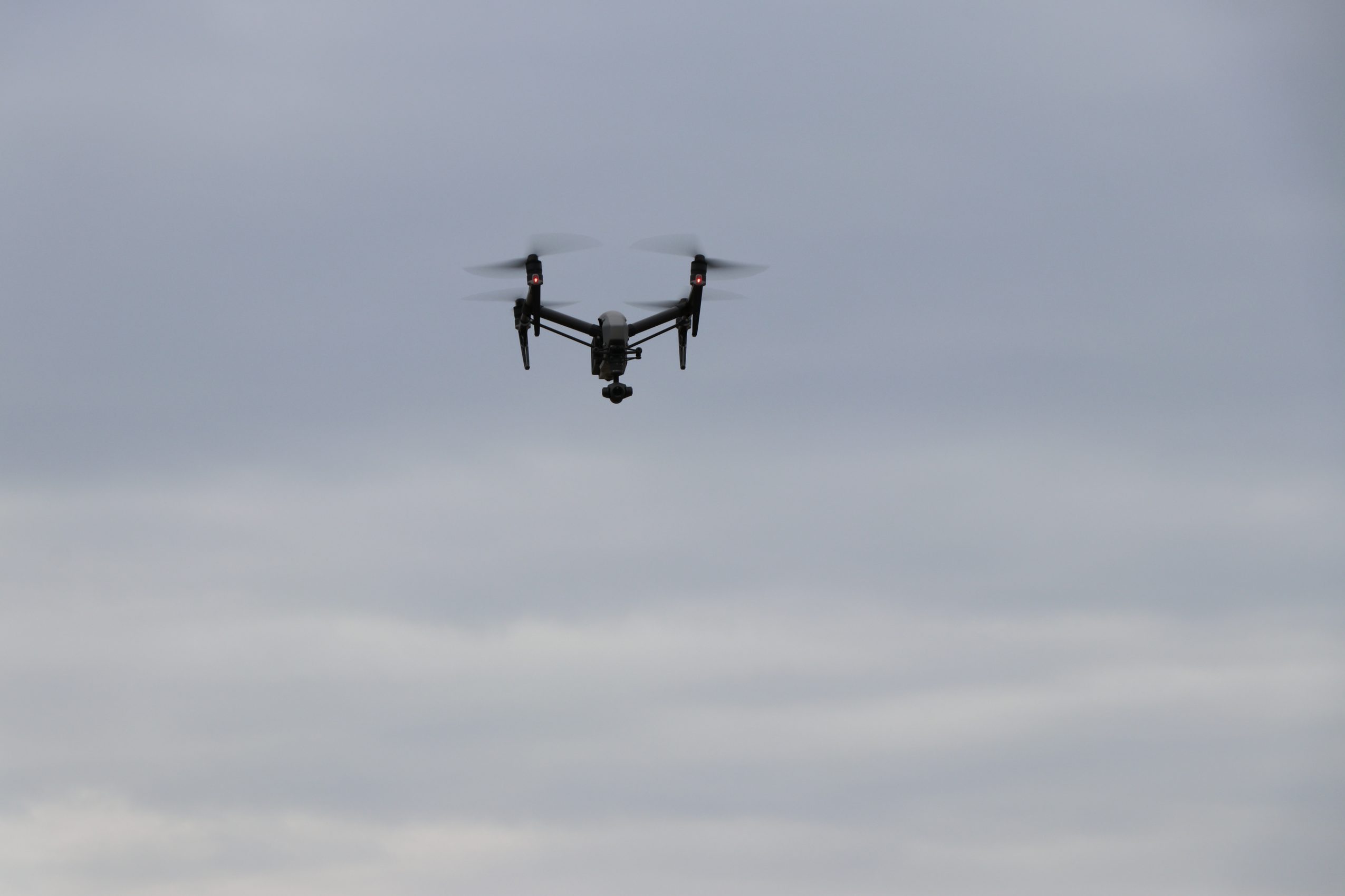 Meet Mark McCollom and Louis Dufresne of Swankrain Studios – Boston ...