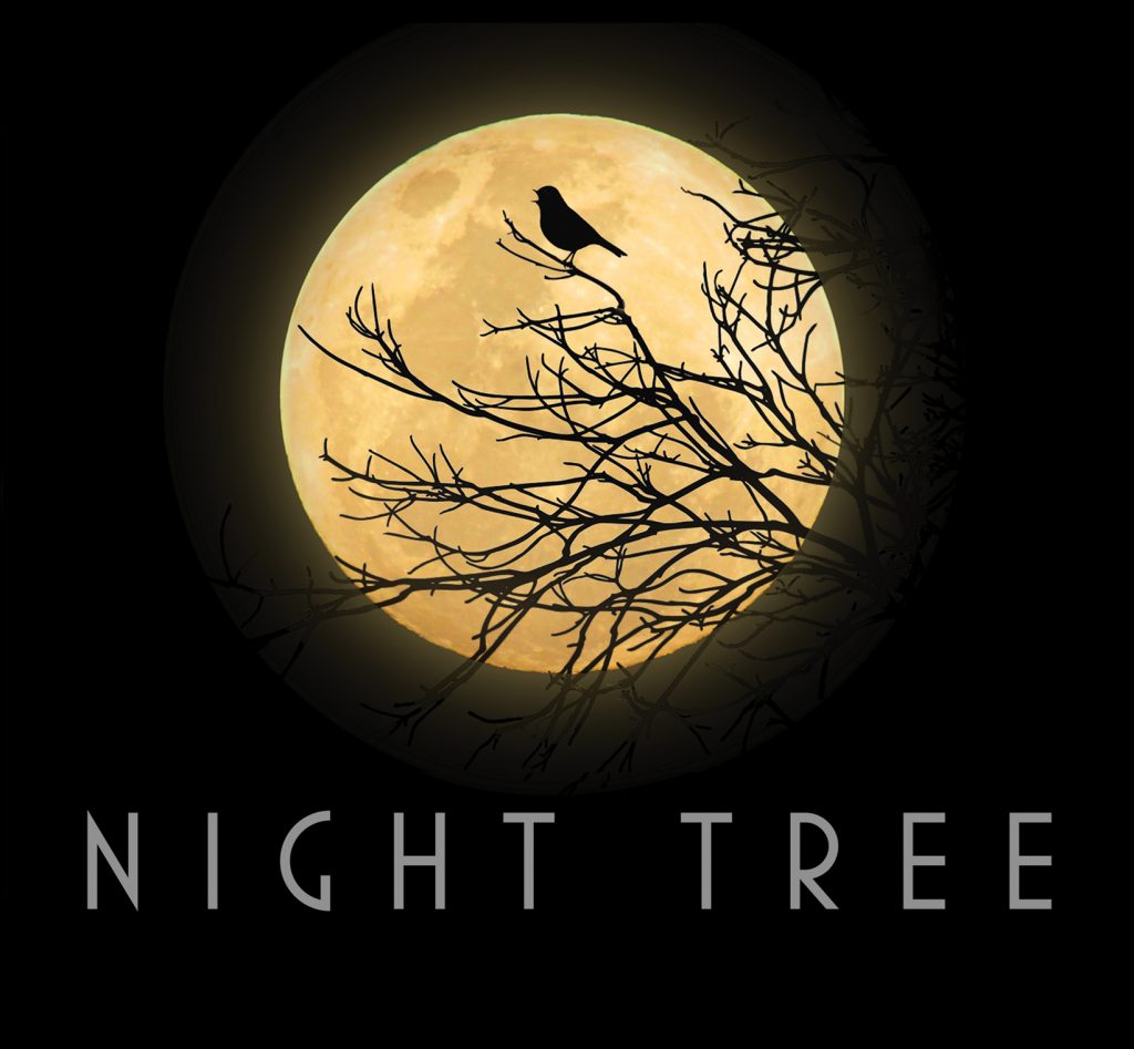 Meet Julian Loida of Night Tree in Jamaica Plain – Boston Voyager ...