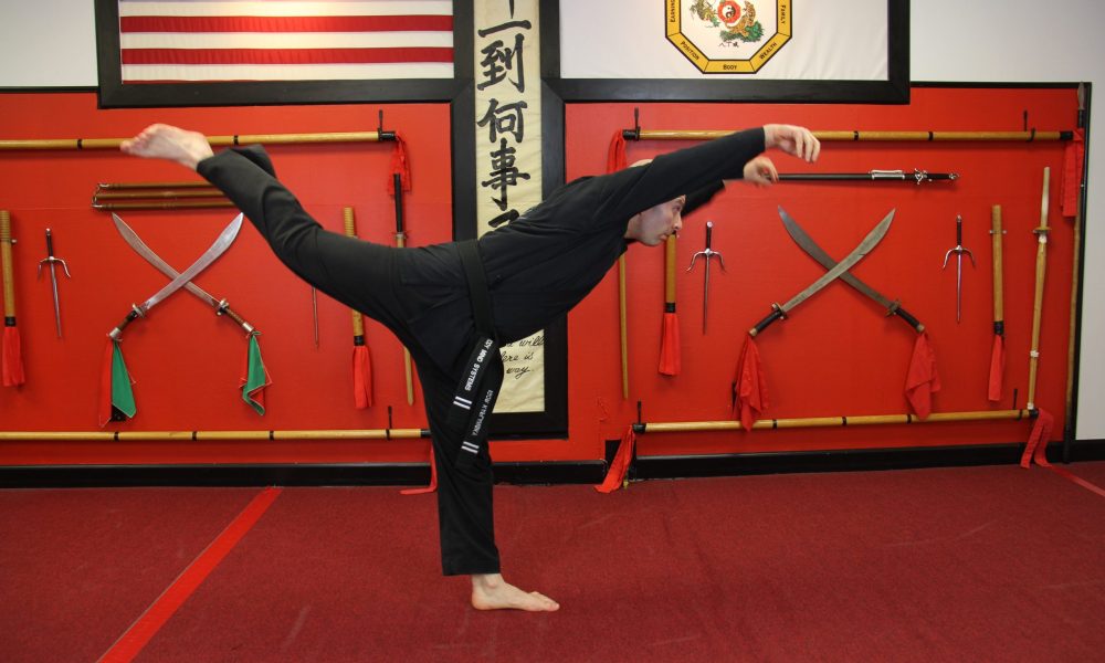 Meet Igor Kaplansky of Body Mind Systems – Boston Voyager Magazine ...