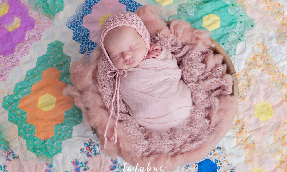 Meet Natalie Colbert and Margaret Heinke of Ladybug Photography ...