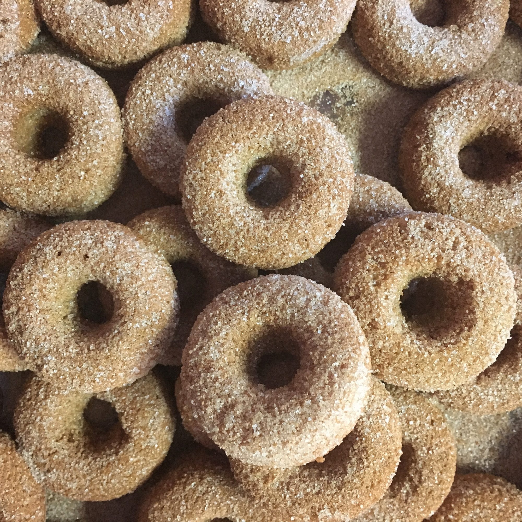 Meet Heather Dougherty of The Sweet Beet in Connecticut – Boston ...