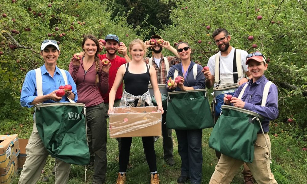 Meet Jack Leng of Boston Area Gleaners – Boston Voyager Magazine ...