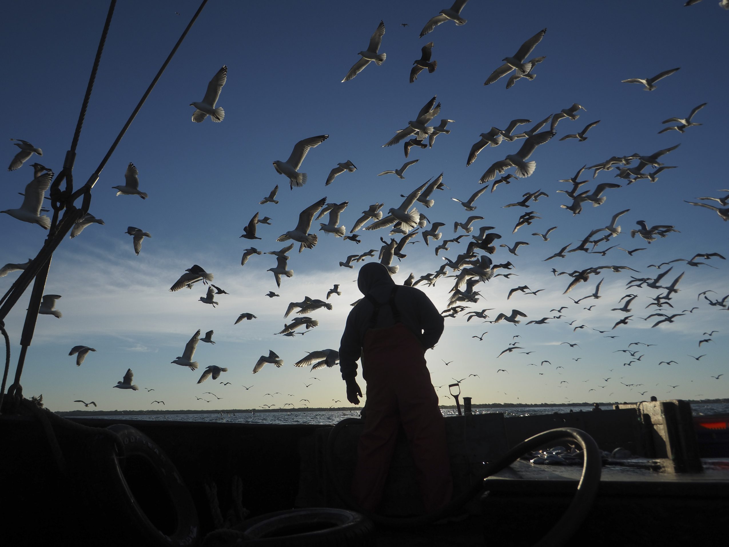 Meet David Helfer Wells of Narrative Visuals – Boston Voyager Magazine ...