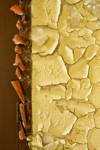 Check out Rebecca Skinner’s Artwork – Boston Voyager Magazine | Boston ...