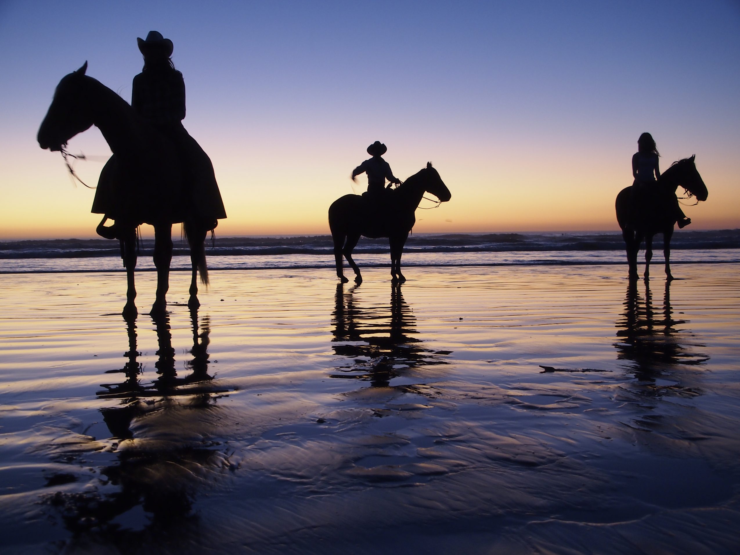 Meet David Helfer Wells of Narrative Visuals – Boston Voyager Magazine ...