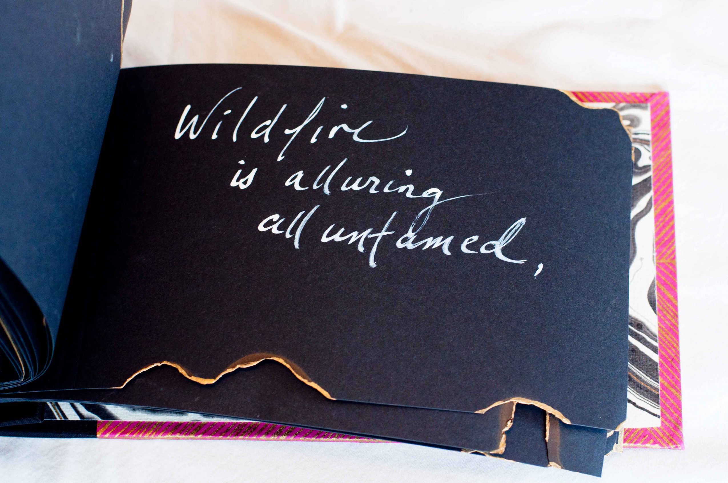 Meet Calee Lucht, Creative Empowerment Coach in Brighton – Boston ...