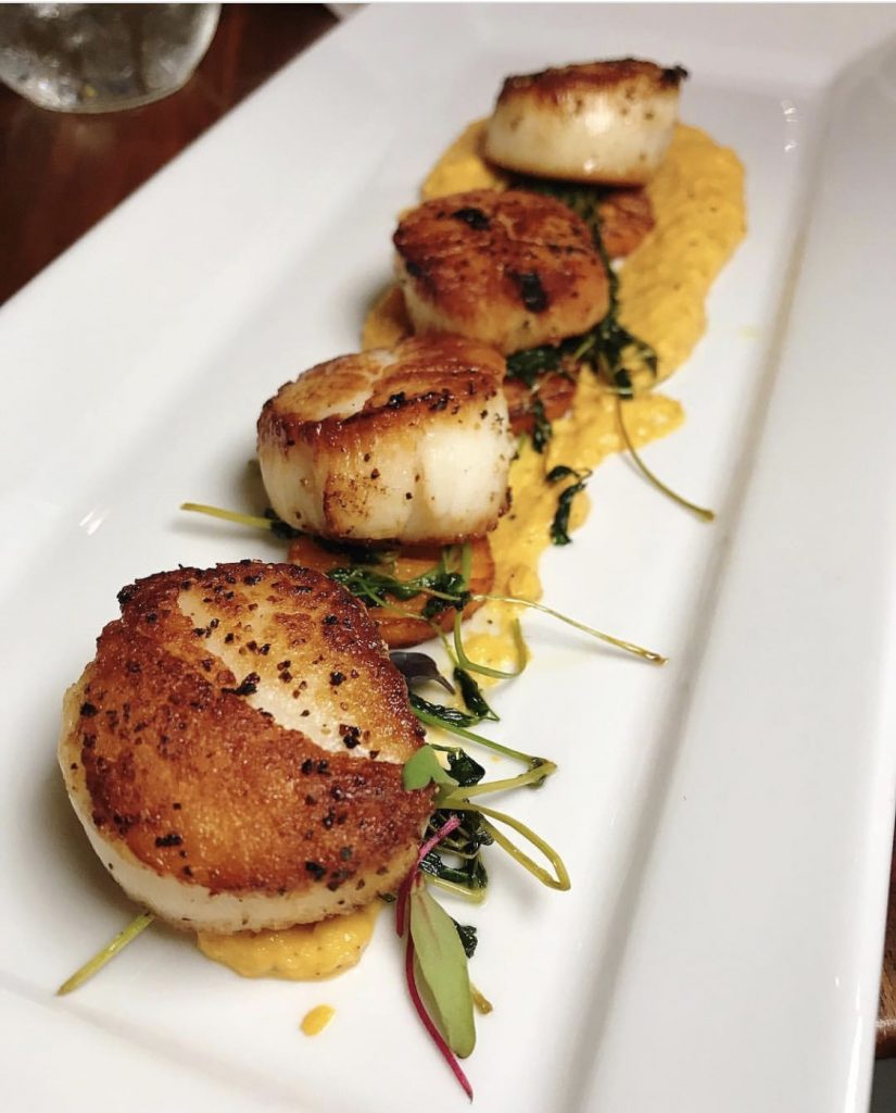 Conversations with the Inspiring Angelica D’Amore and Taylor Catalano ...