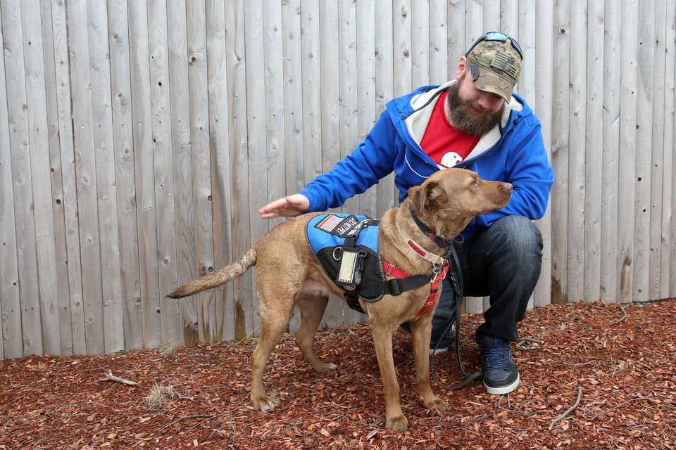 Meet Lauren Burbridge of Operation Delta Dog – Boston Voyager Magazine ...