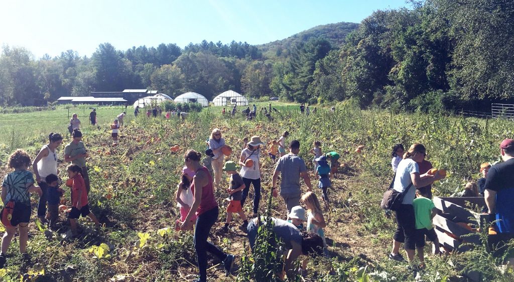 Meet Dan Kaplan of Brookfield Farm in Amherst – Boston Voyager Magazine ...