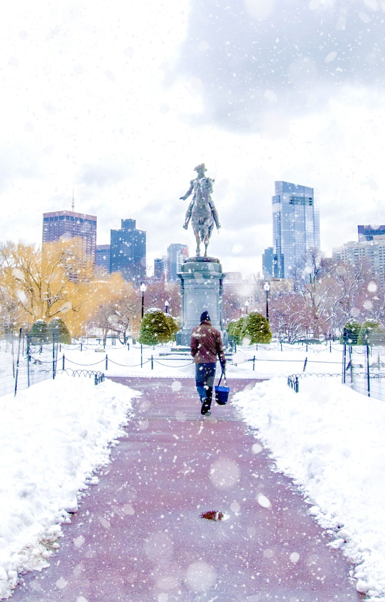 Meet Sally Cooper of Sally Cooper Photography in Lexington – Boston ...