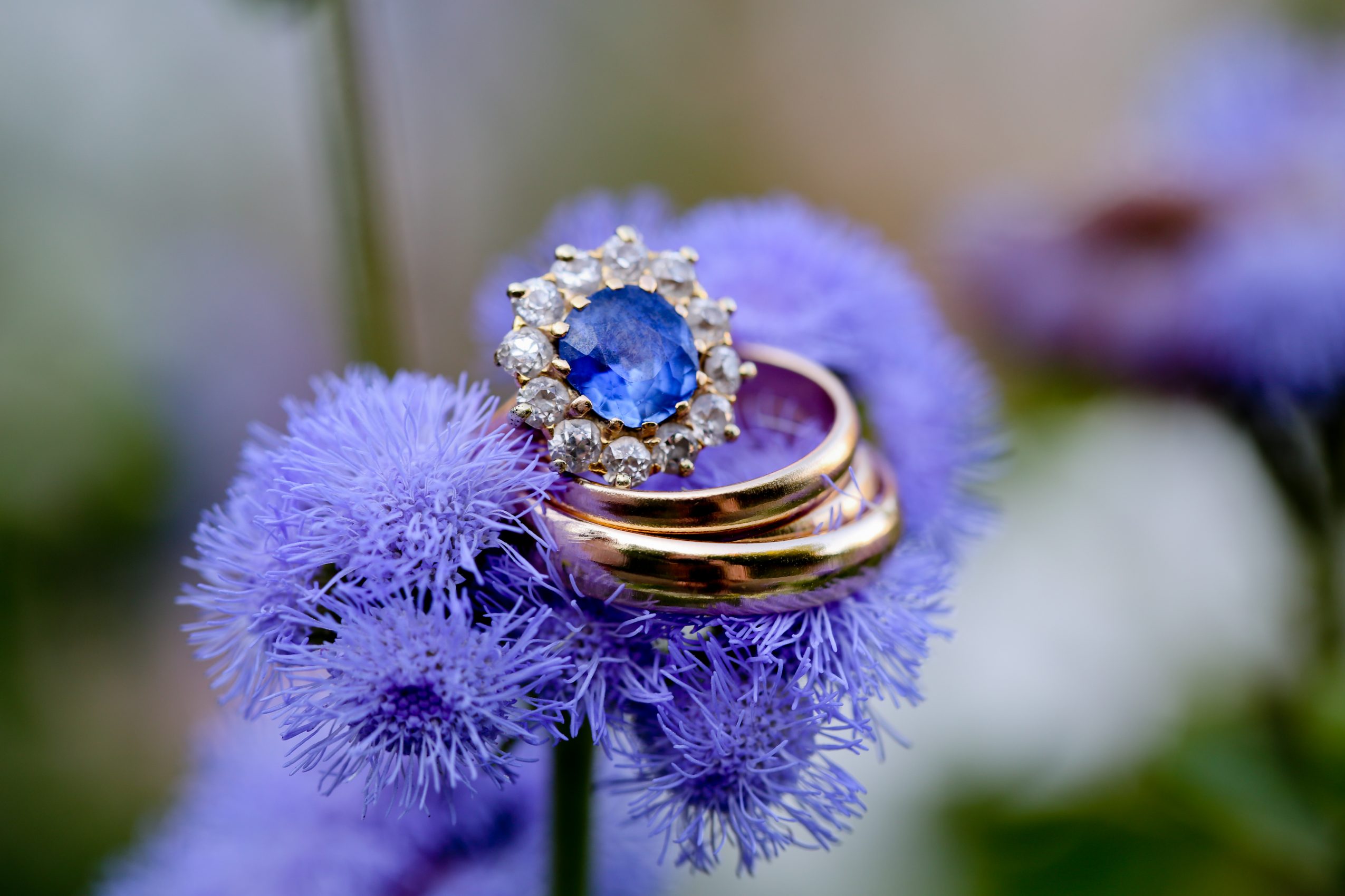 Meet Julie McCarthy of Julie Surette Photography in Hampton Falls ...