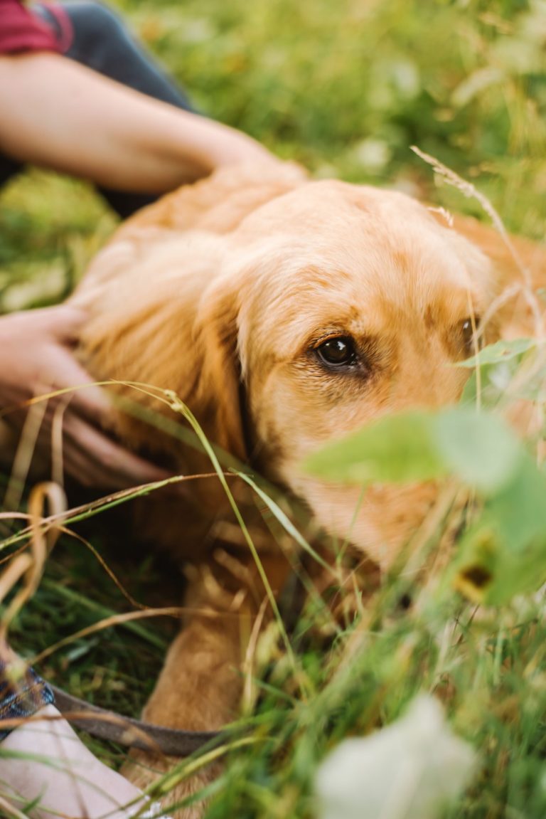 Art & Life with Mei Lin Barral – Boston Voyager Magazine | Boston City ...