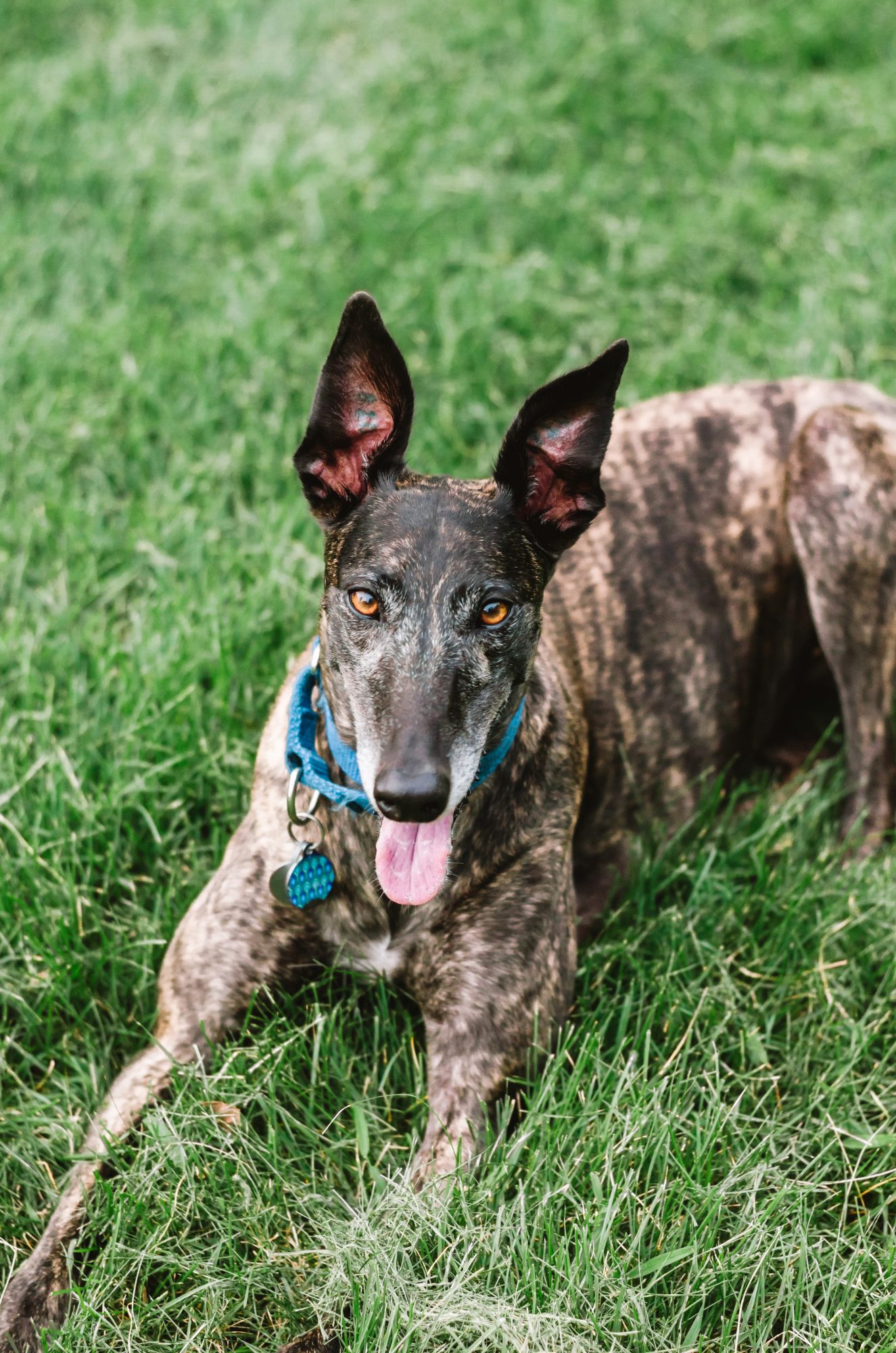 Meet Mei Lin Barral of Mei Lin Barral Photography – Boston Voyager ...