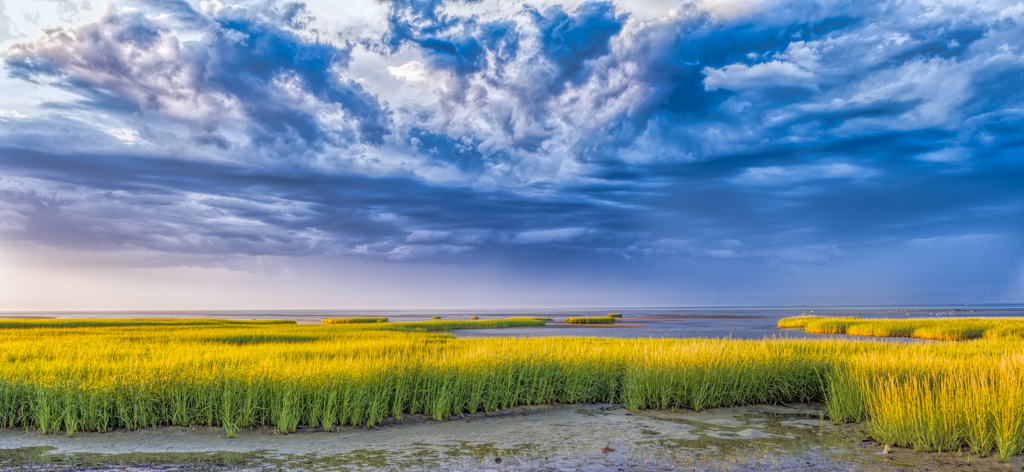 Meet Joe Reardon of Joe Reardon Photography – Boston Voyager Magazine ...