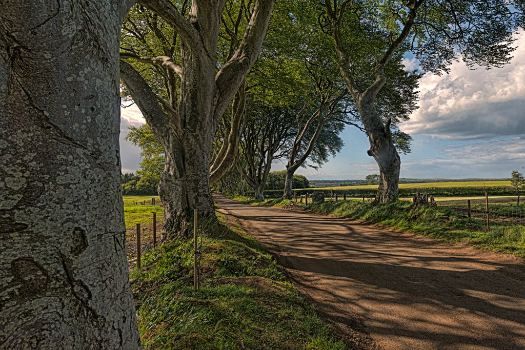 Meet Joe Reardon of Joe Reardon Photography – Boston Voyager Magazine ...