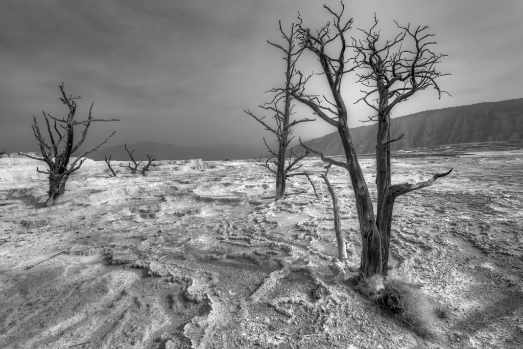 Meet Joe Reardon of Joe Reardon Photography – Boston Voyager Magazine ...