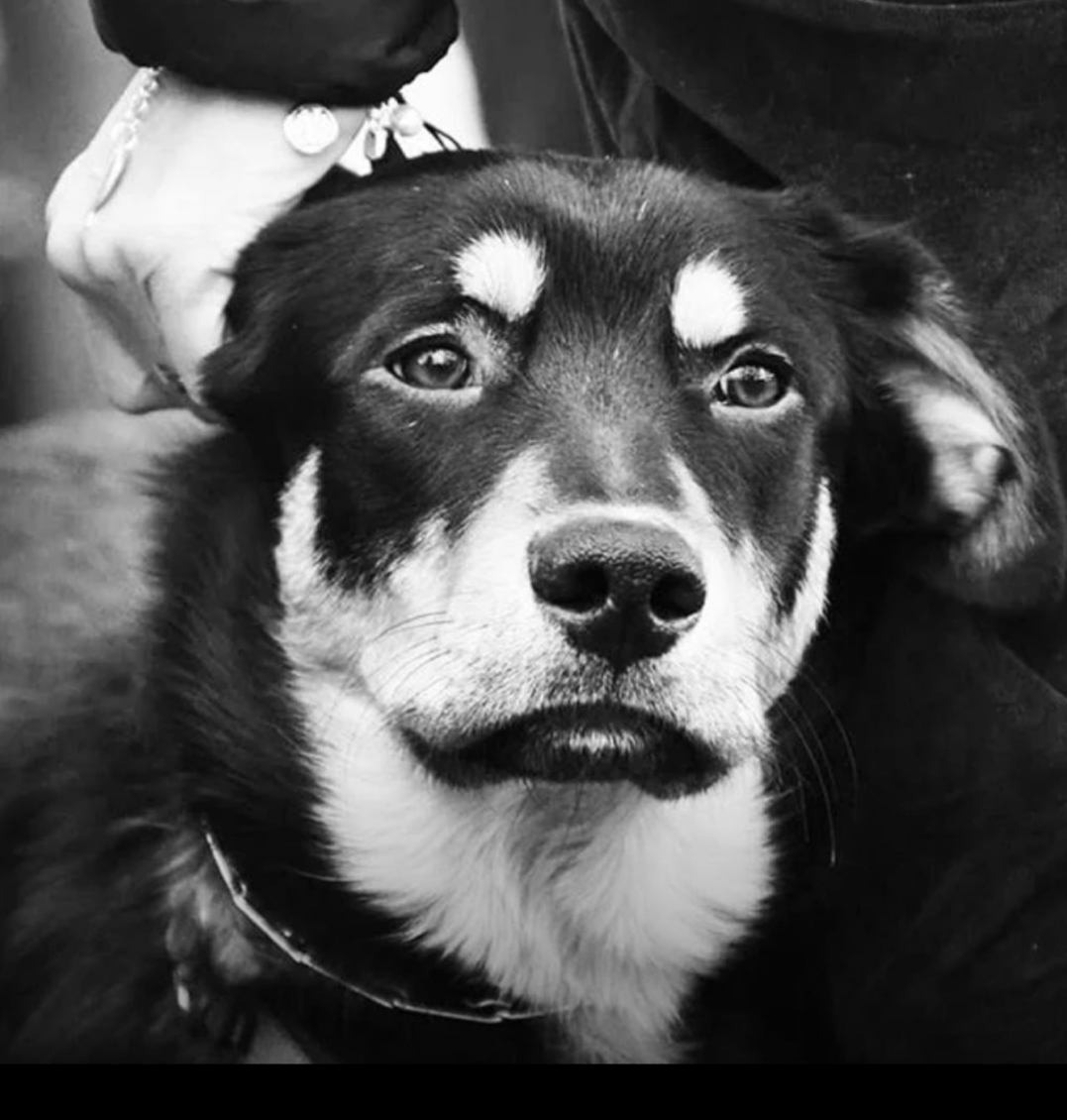 Meet Rivka (Riv) Cohen – Boston Voyager Magazine | Boston City Guide