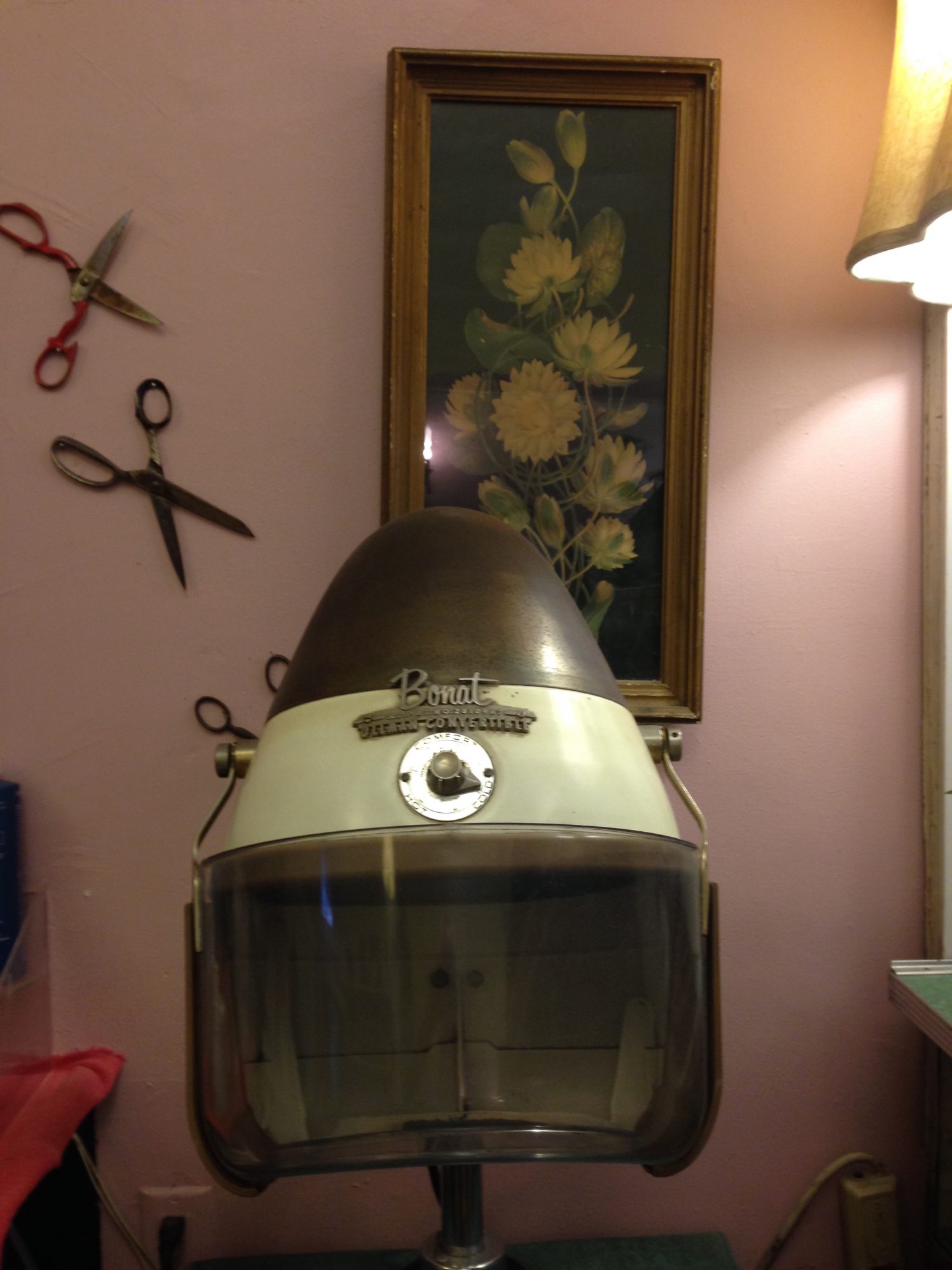 Meet Laura Dembski of Miss Laura’s in Jamaica Plain – Boston Voyager ...