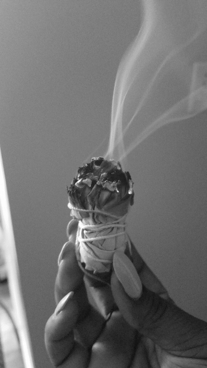 Life and Work with Marcella Kelley – Boston Voyager Magazine | Boston ...