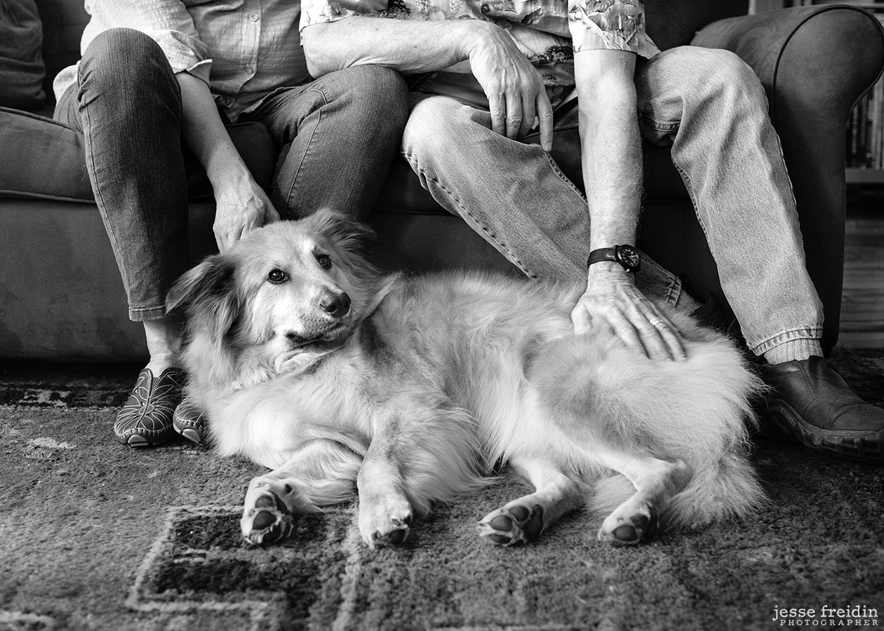 Check out Jesse Freidin’s Artwork – Boston Voyager Magazine | Boston ...