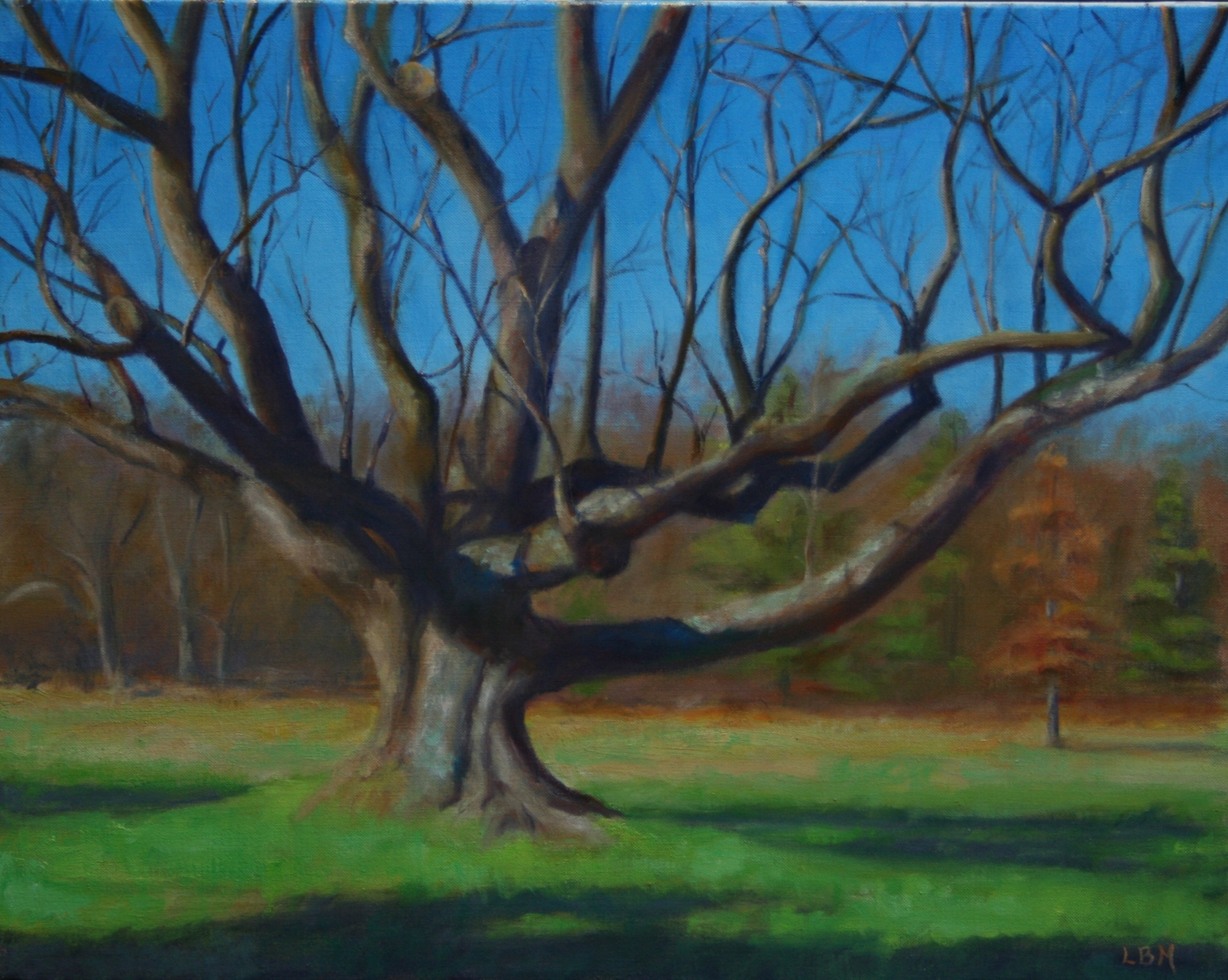 Check out Lynne B. Mehlman’s Artwork – Boston Voyager Magazine | Boston ...