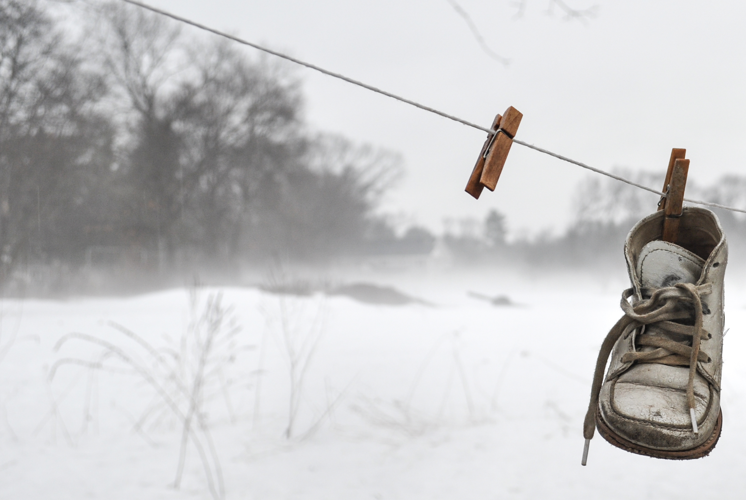 Check out Maria Verrier’s Artwork – Boston Voyager Magazine | Boston ...