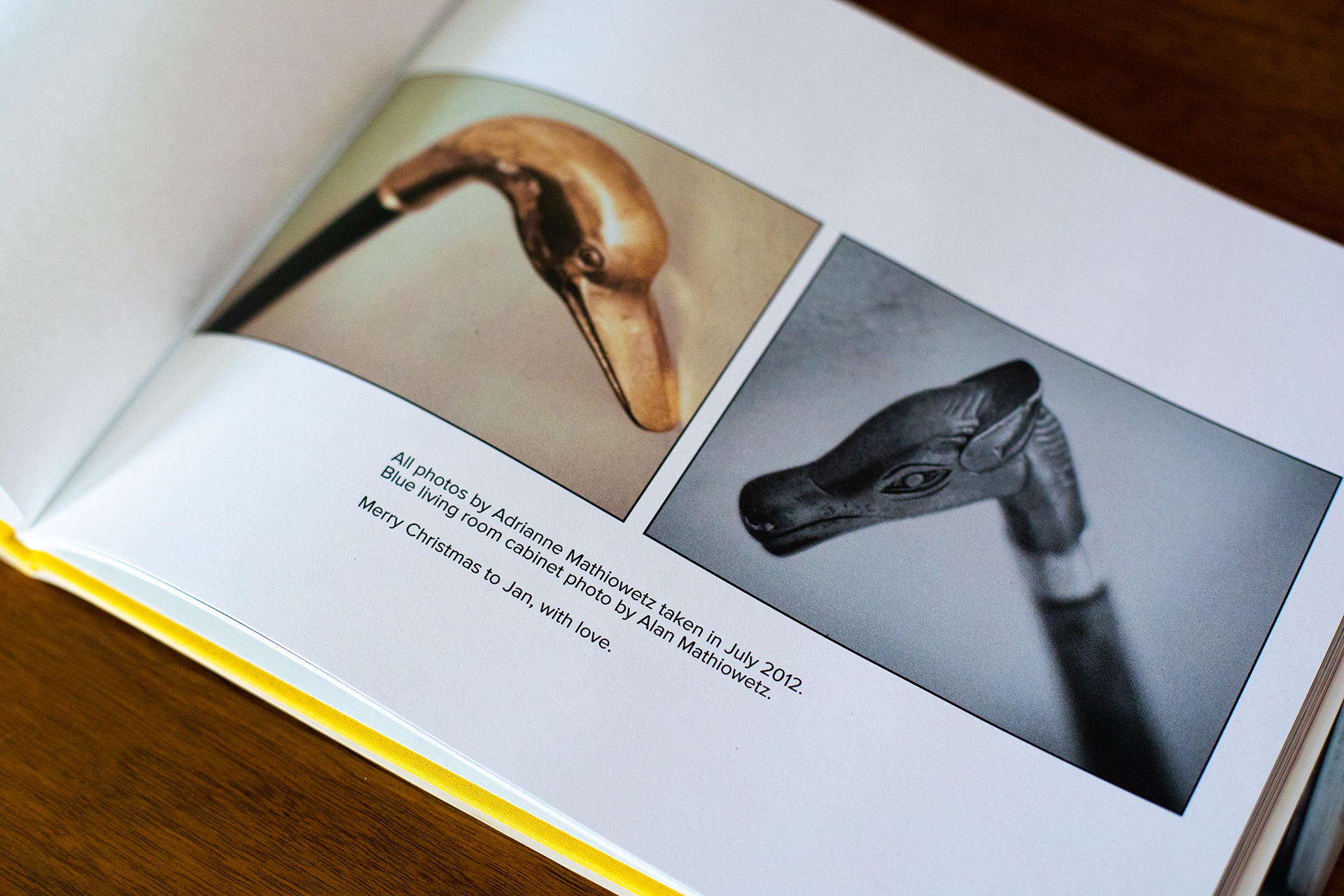 Meet Adrianne Mathiowetz of Home Portraiture – Boston Voyager Magazine ...