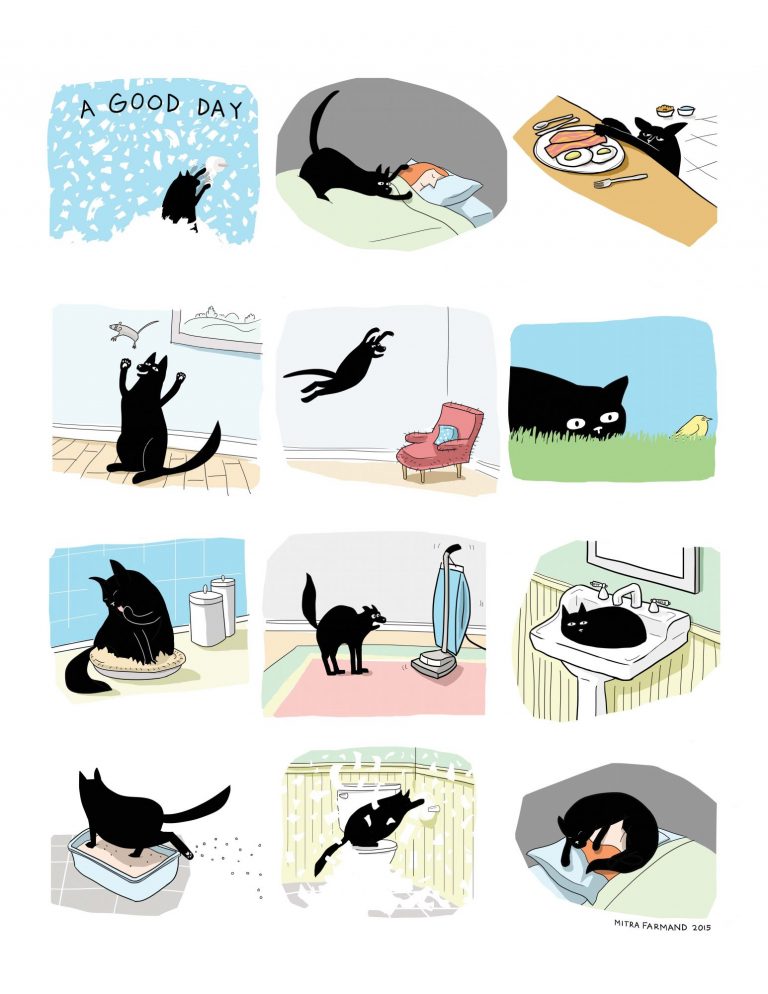 Life and Work with Mitra Farmand – Boston Voyager Magazine | Boston ...