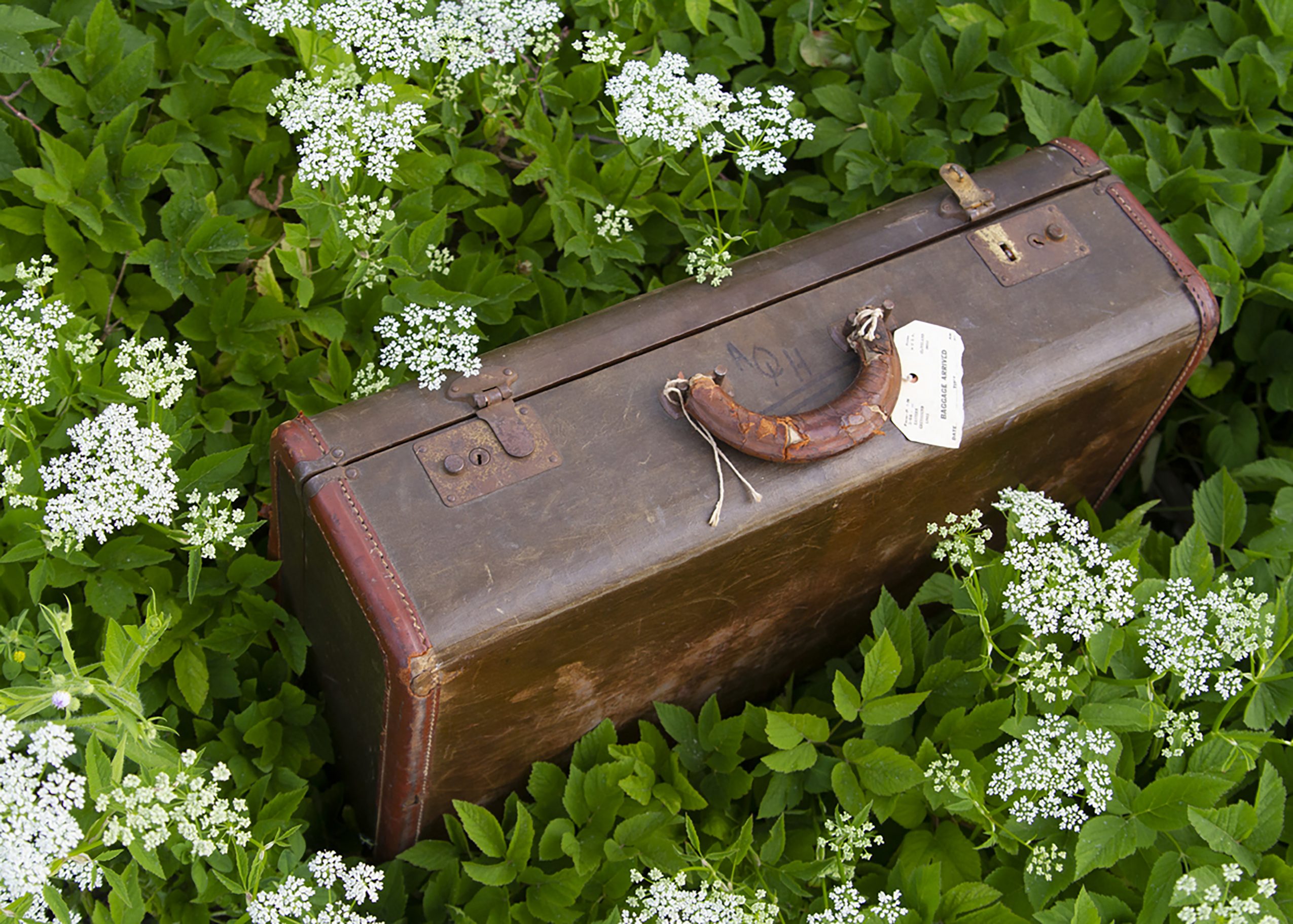 Check out Sage Brousseau’s Artwork – Boston Voyager Magazine | Boston ...