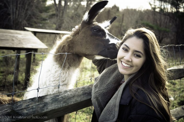 Check out Kristin Hughes’s Artwork – Boston Voyager Magazine | Boston ...