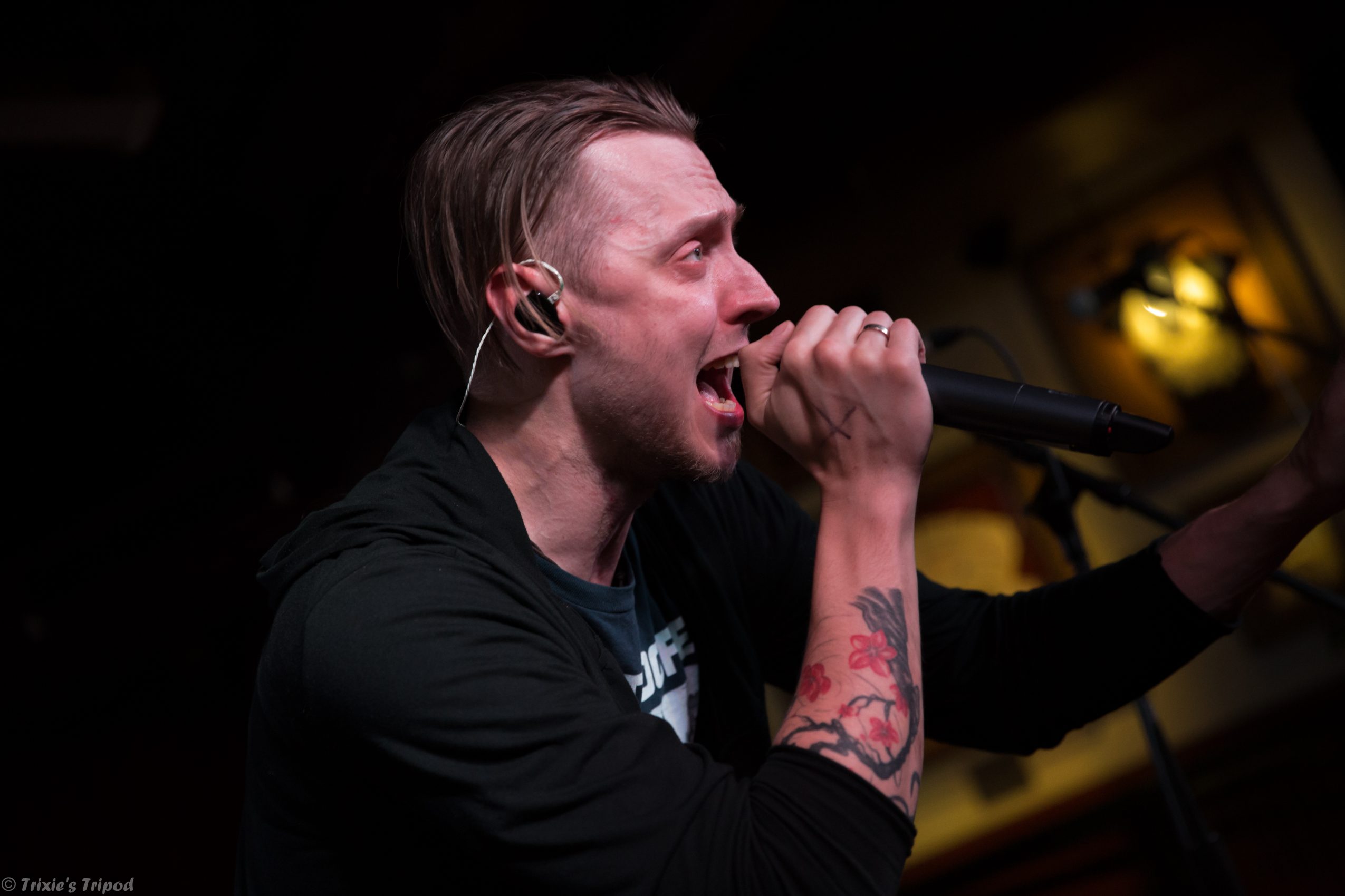 Meet Brian Murphy of One Time Mountain in Cambridge – Boston Voyager ...