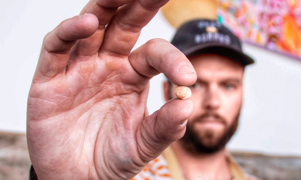 Meet Colin Daly of Just Hummus in Jamaica Plain – Boston Voyager ...