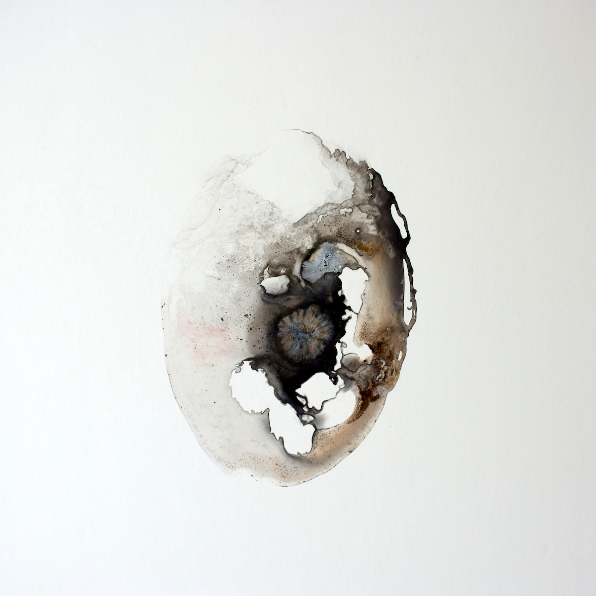 Meet Ana Latkovic in SOWA Art District – Boston Voyager Magazine ...