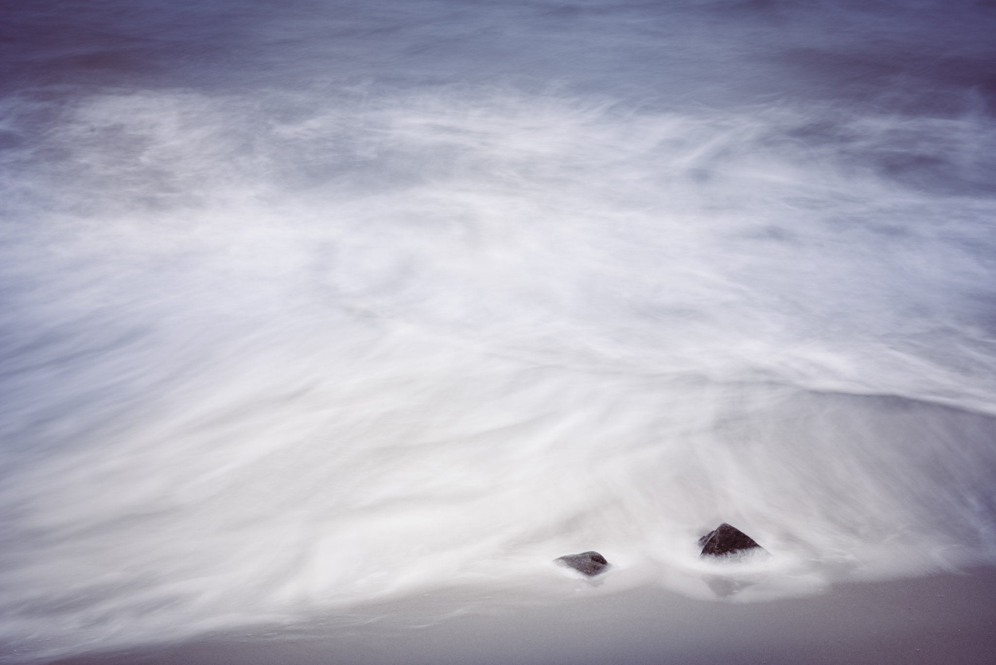Meet Lisa Pelonzi of Lisa Pelonzi Photographer in Danvers – Boston ...