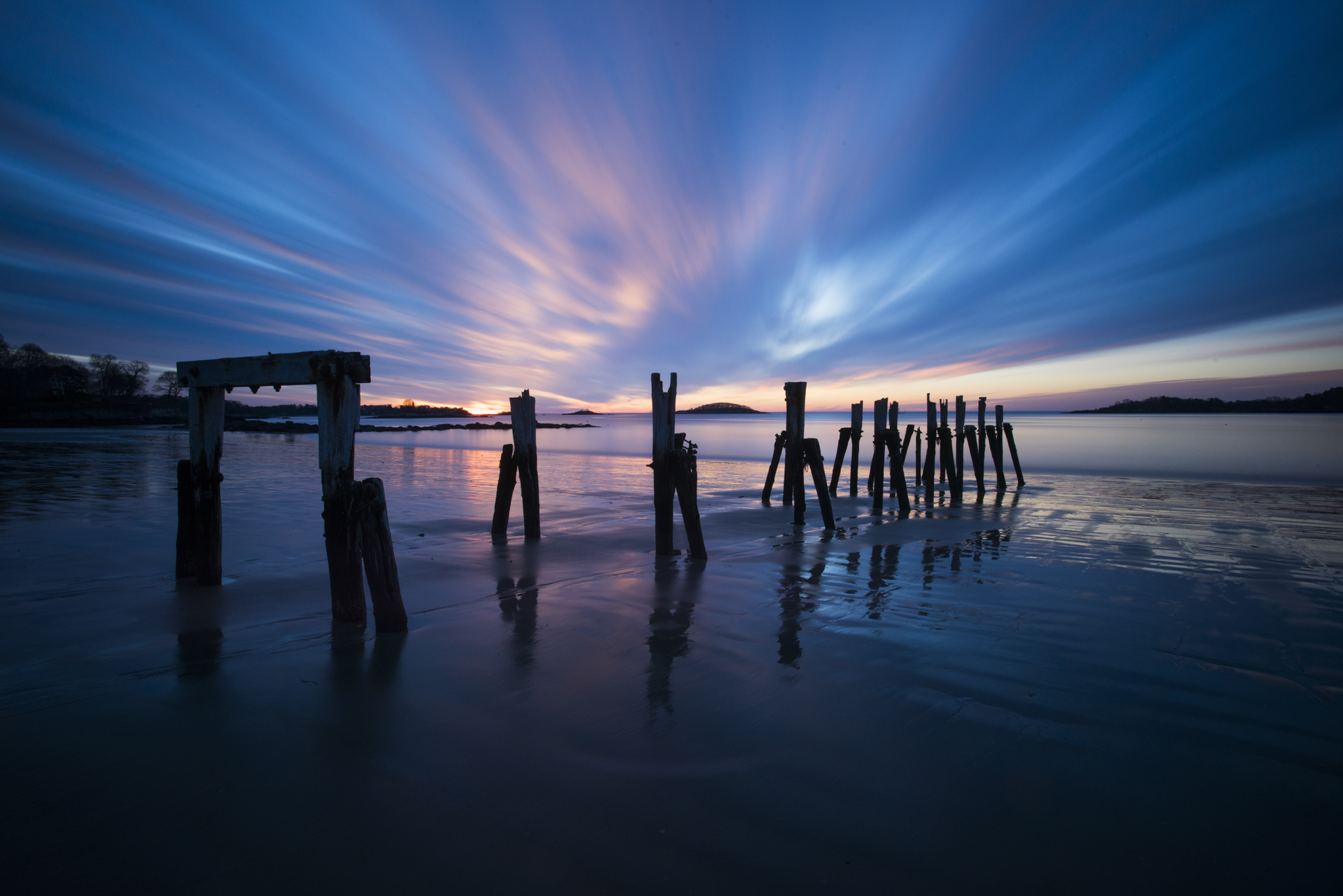 Meet Lisa Pelonzi of Lisa Pelonzi Photographer in Danvers – Boston ...