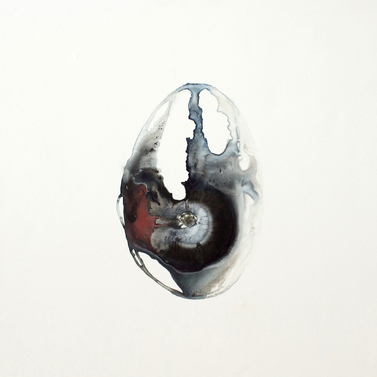 Meet Ana Latkovic in SOWA Art District – Boston Voyager Magazine ...
