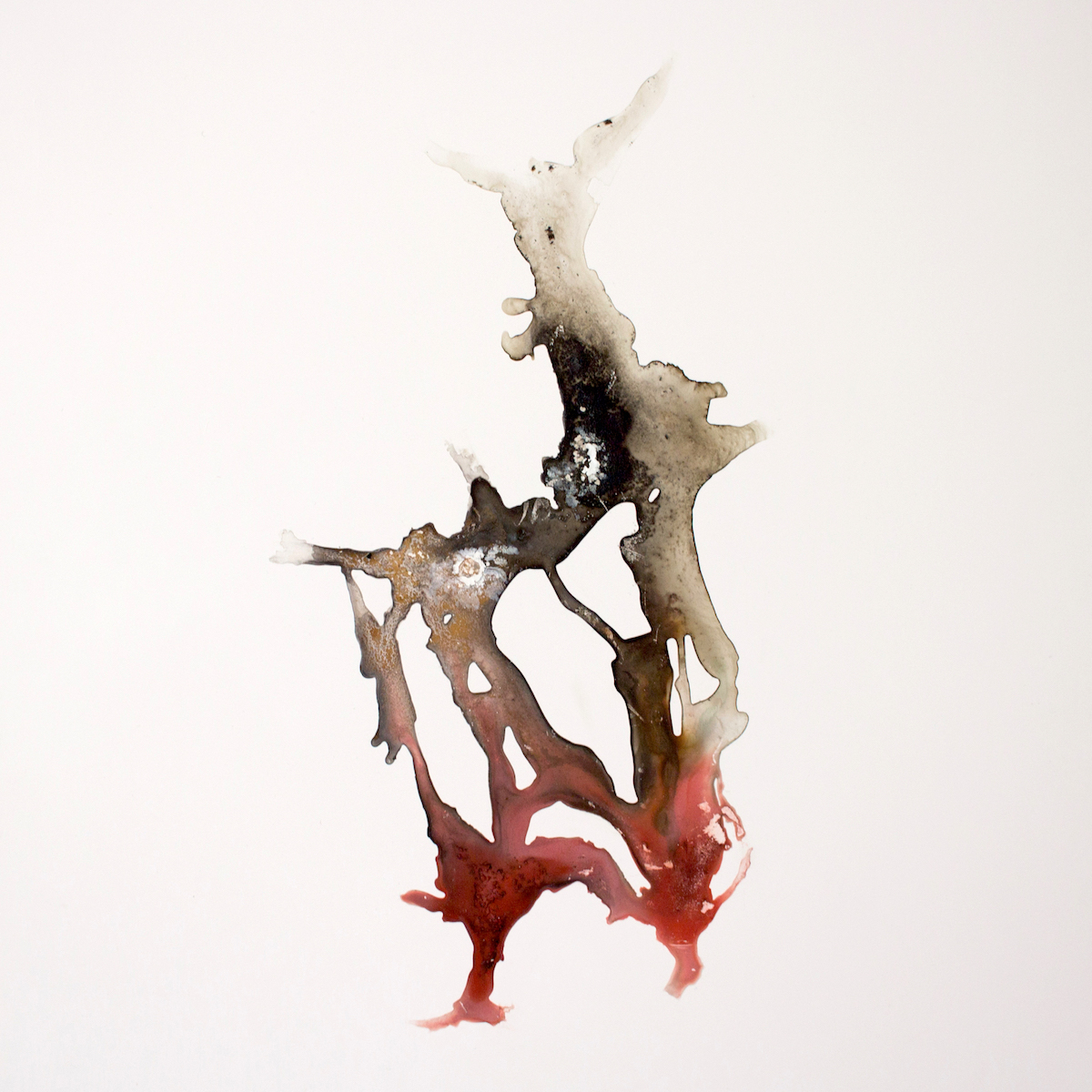 Meet Ana Latkovic in SOWA Art District – Boston Voyager Magazine ...