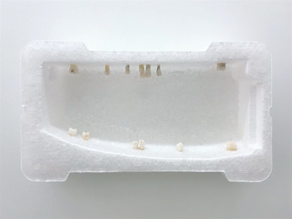 Meet Christopher Lin – Boston Voyager Magazine | Boston City Guide