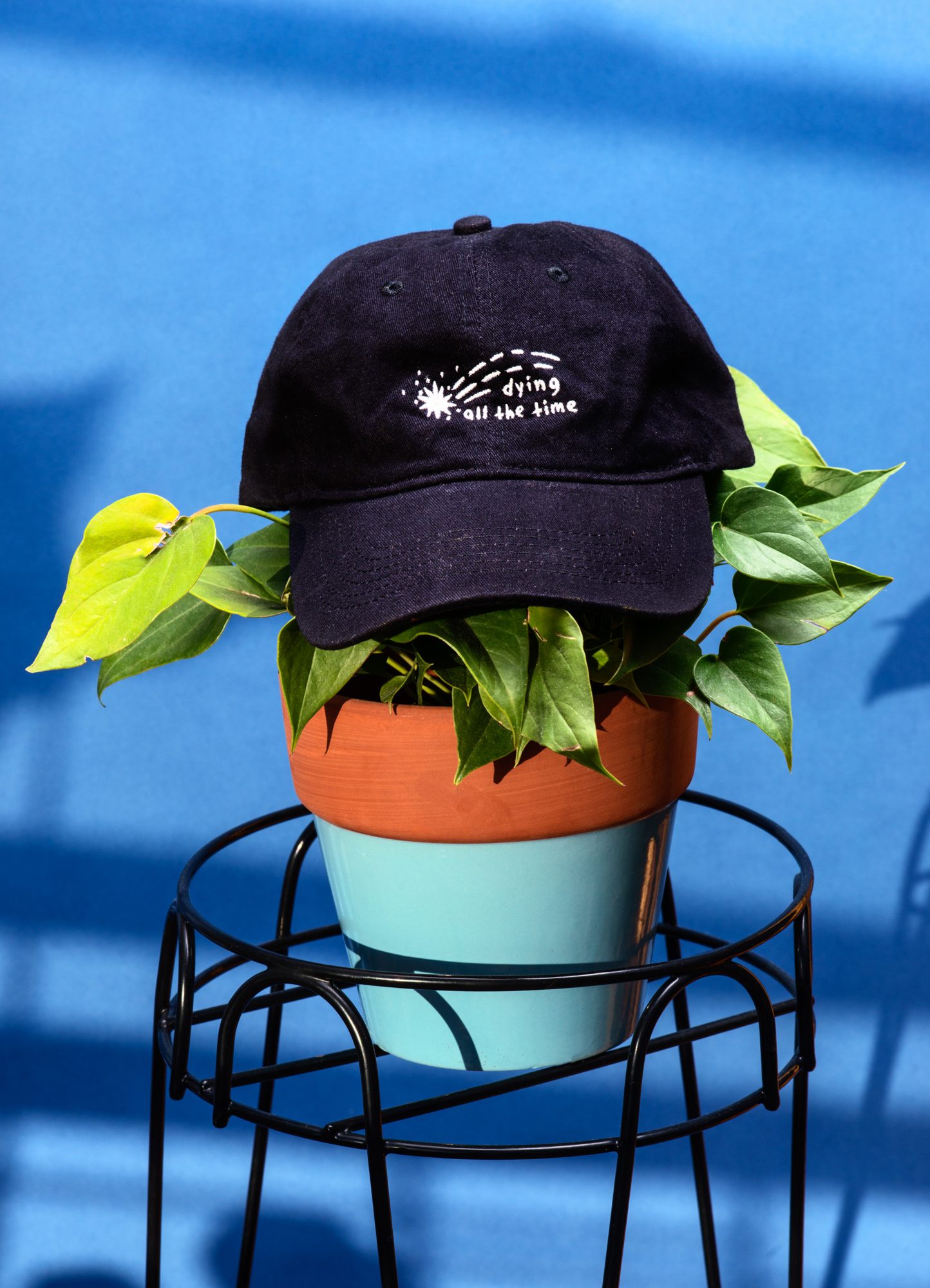 Meet Annie Narrigan and Victoria Florio – Boston Voyager Magazine ...