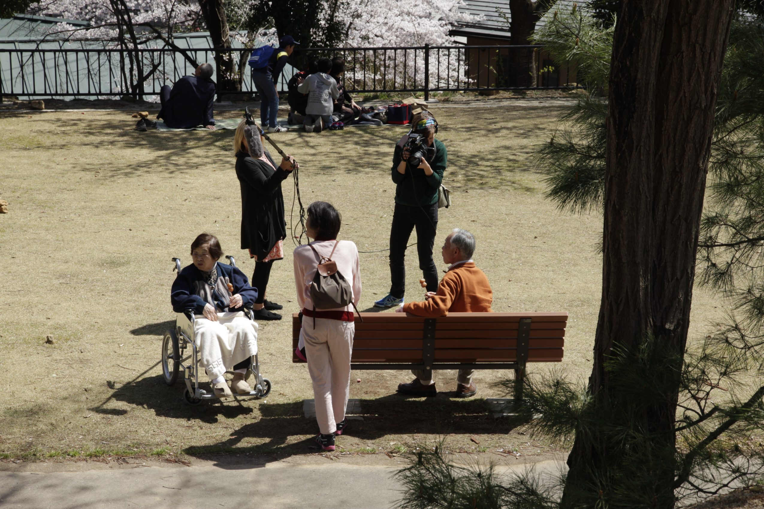 Meet Beth Balaban – Boston Voyager Magazine | Boston City Guide