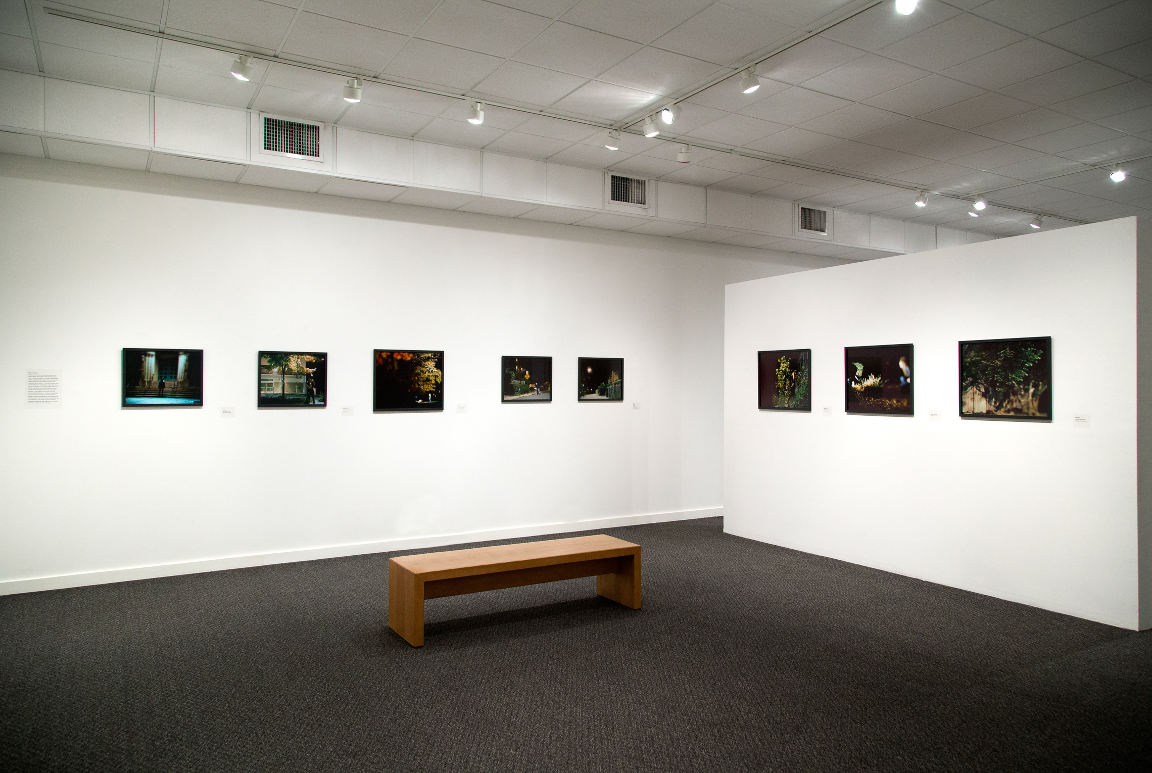 Meet Sarah Pollman – Boston Voyager Magazine | Boston City Guide