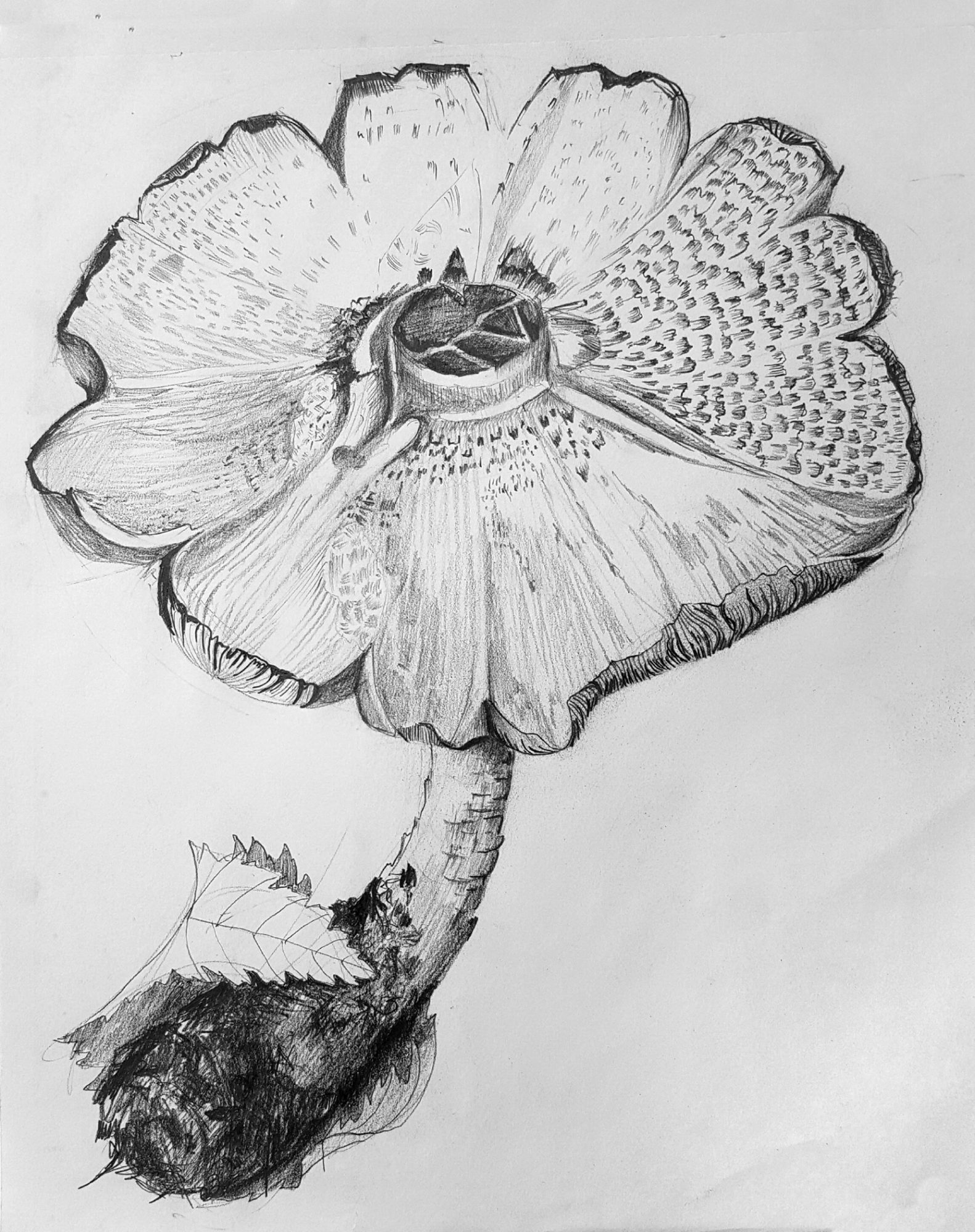 Art & Life with Stephanie Mahan Stigliano – Boston Voyager Magazine ...