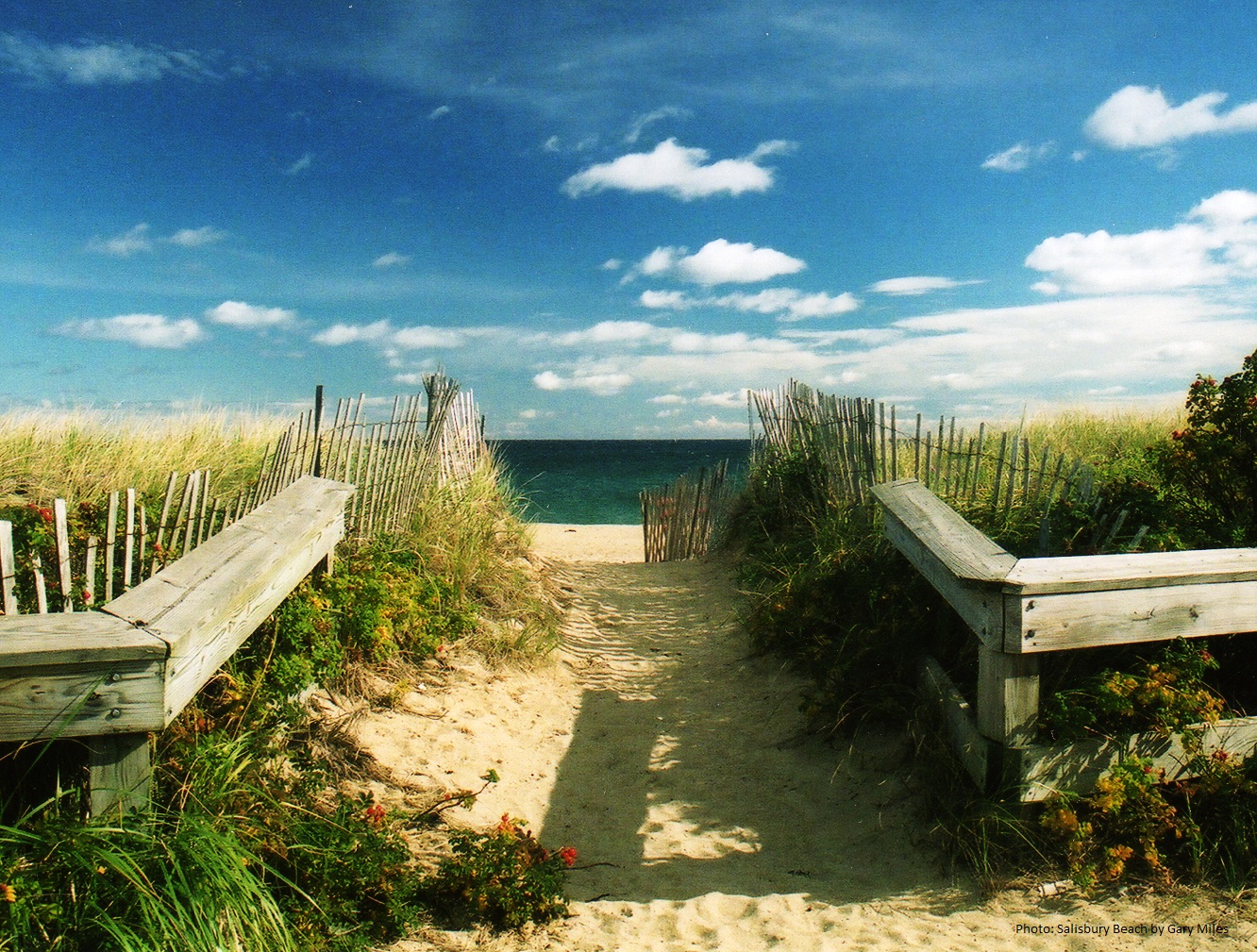 Meet Ann Marie Casey of North of Boston Convention & Visitors Bureau ...