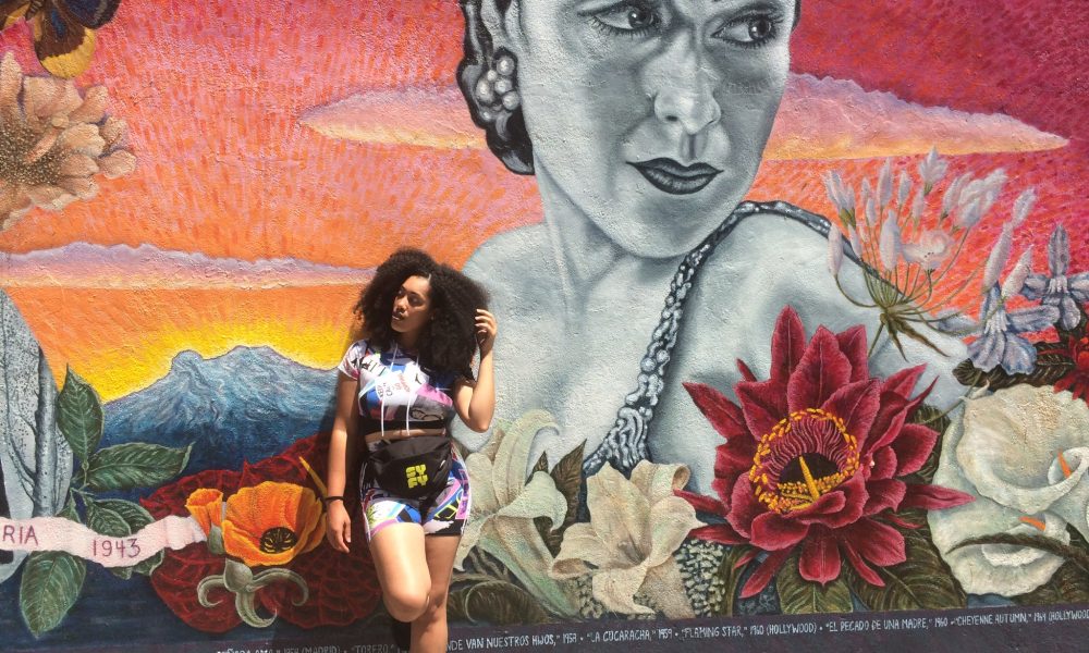 Meet Catherine Harris of Oh So Afro – Boston Voyager Magazine | Boston ...