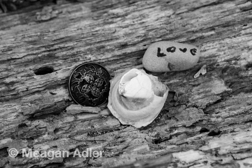 Meet Meagan Adler of A Girl and Her Graphics – Boston Voyager Magazine ...